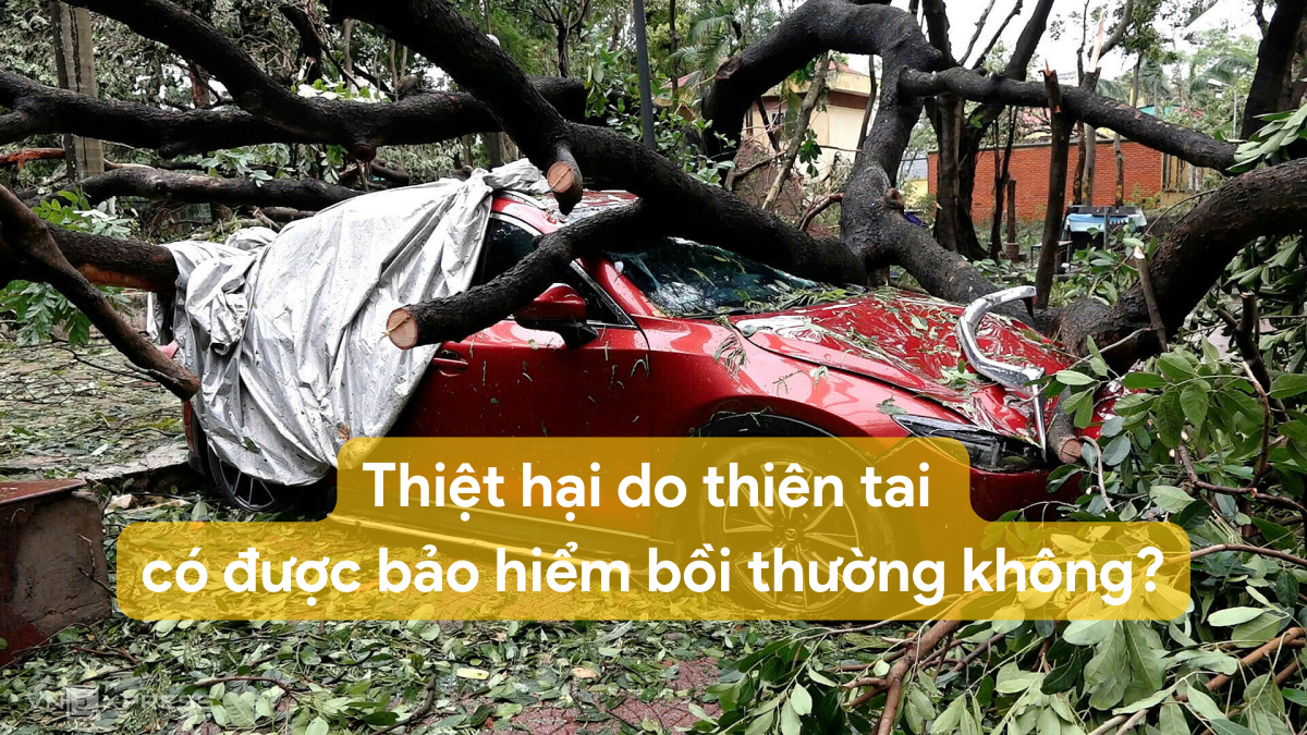 5 lý do bảo hiểm không đền bù do thiên tai